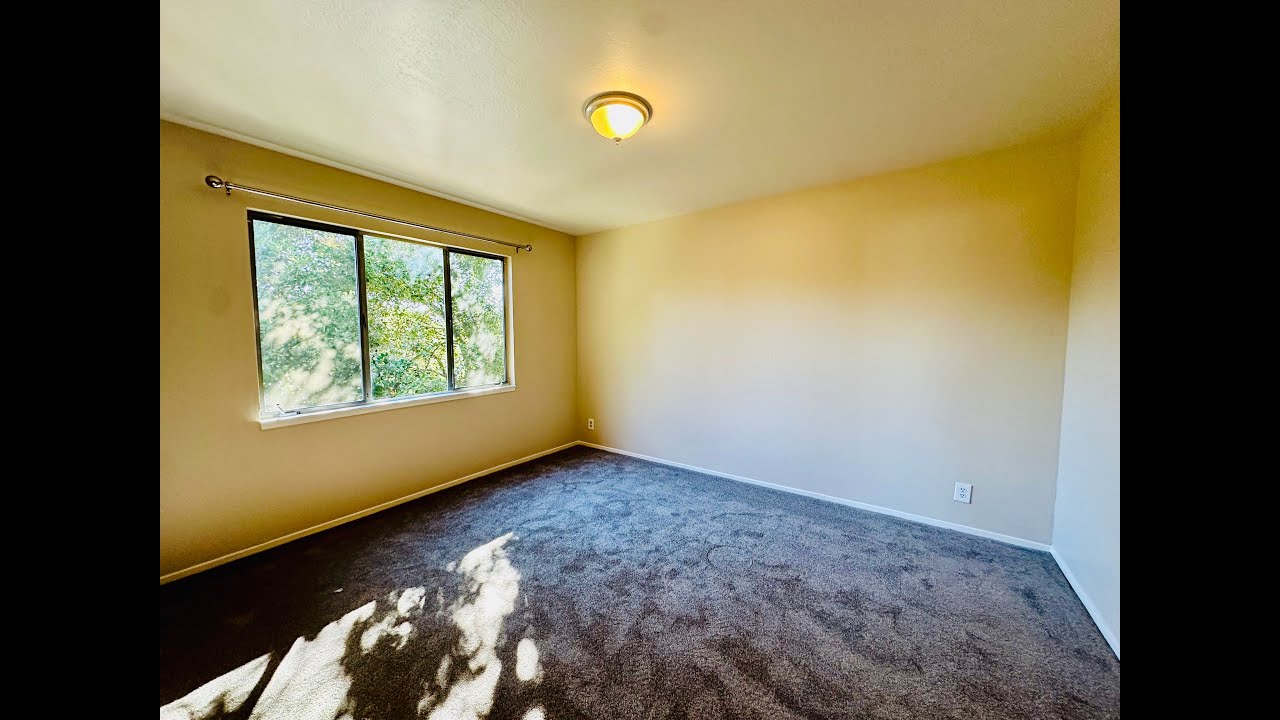 Sunny Corner Remodeled 1bd in Uptown/Adam's Point - YouTube