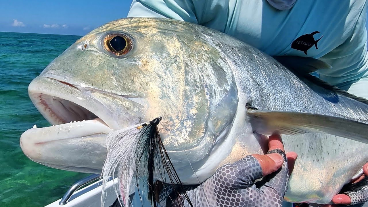 Saltwater fly fishing ( Giant Trevally ) - YouTube