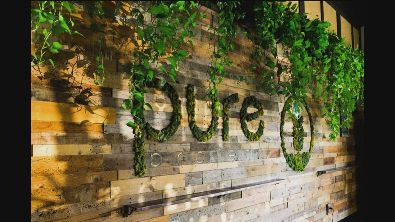 Pure Project | Sustainably Sourced & Brewed in San Diego - YouTube