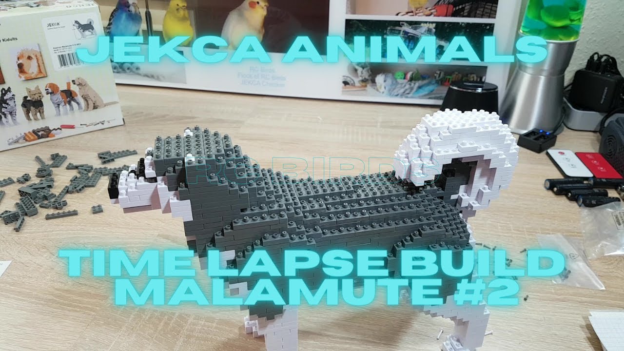 Jekca Alaskan Malamute Build 2 Youtube