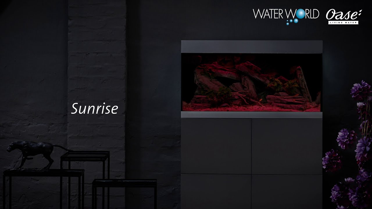 Oase Premium LED Lighting | Water World - YouTube