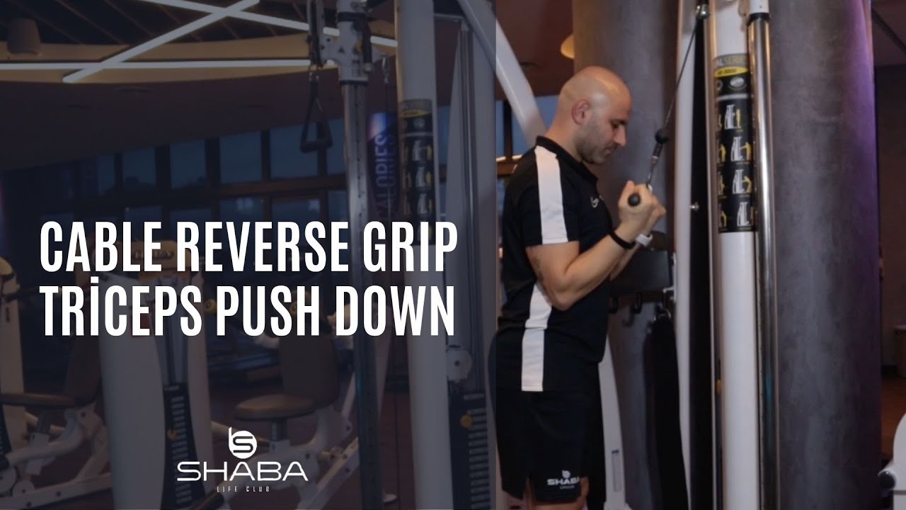 CABLE REVERSE GRIP TRICEPS PUSH DOWN EGZERSİZİ NASIL YAPILIR ? - YouTube