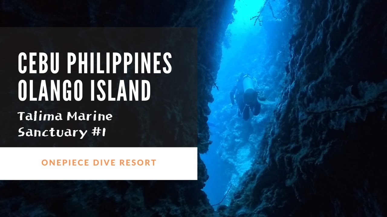 Talima Marine Sanctuary #1, Olango Island, Cebu, Philippines - YouTube