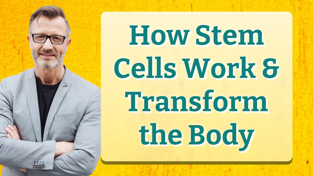How Stem Cells Work & Transform the Body - YouTube