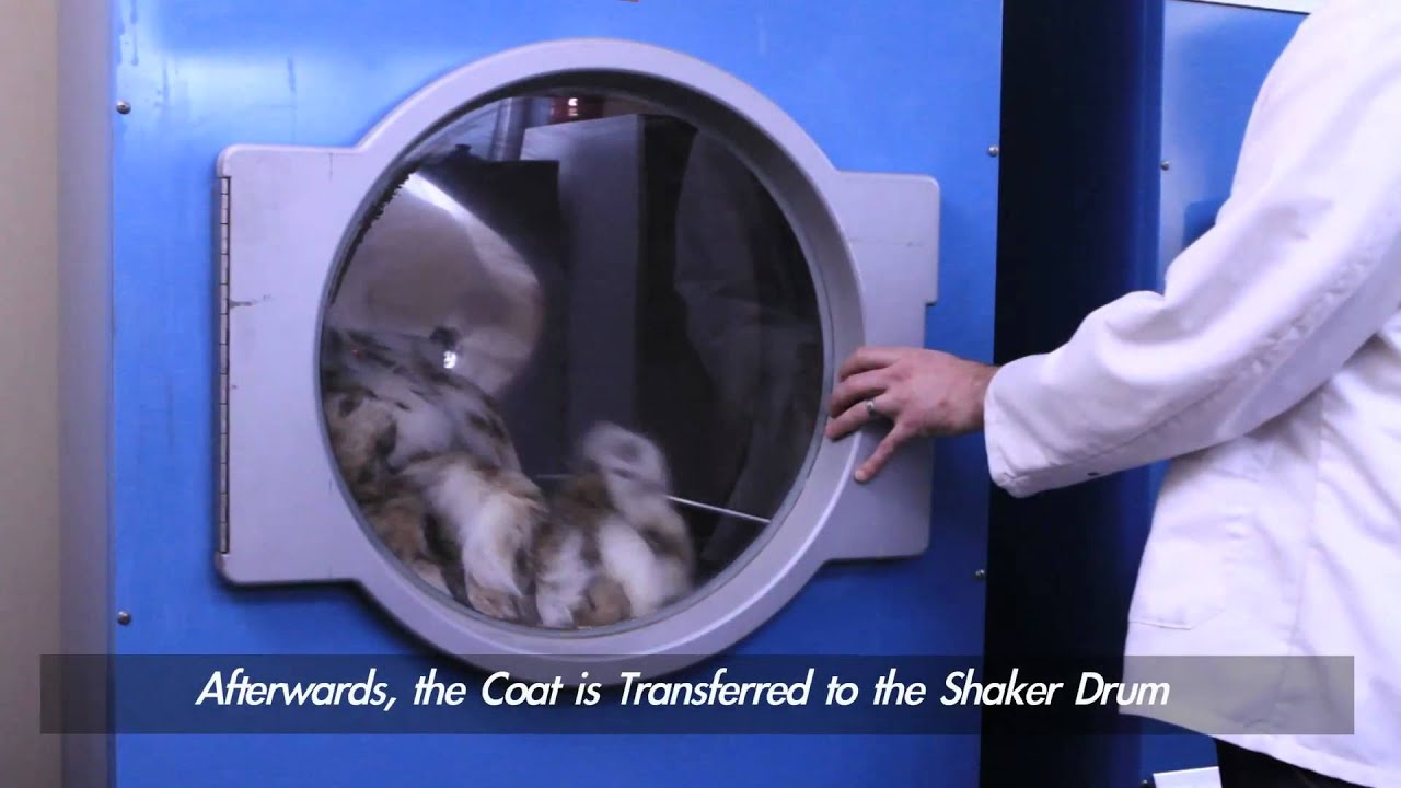 Fur Cleaning and Glazing 101 - YouTube