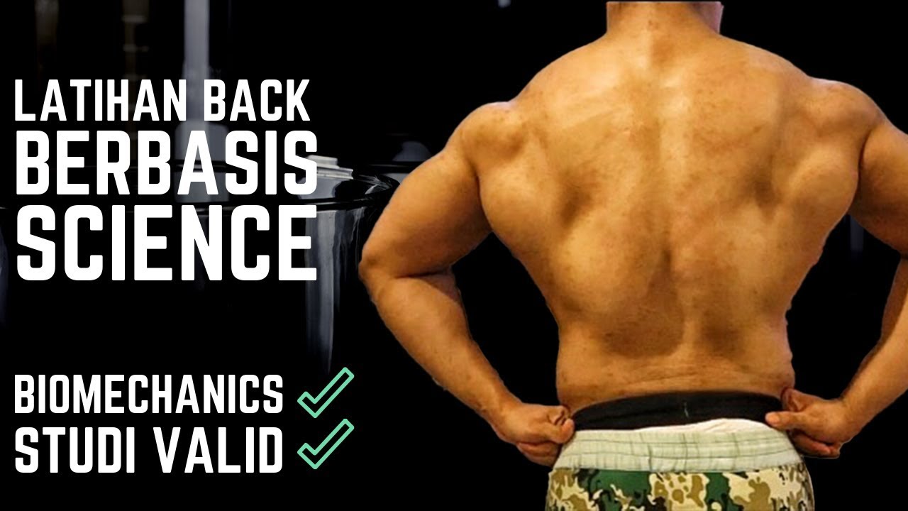 LATIHAN OTOT BACK BERBASIS SCIENCE | PULL UP BAGUSKAH BUAT PUNGGUNG ...