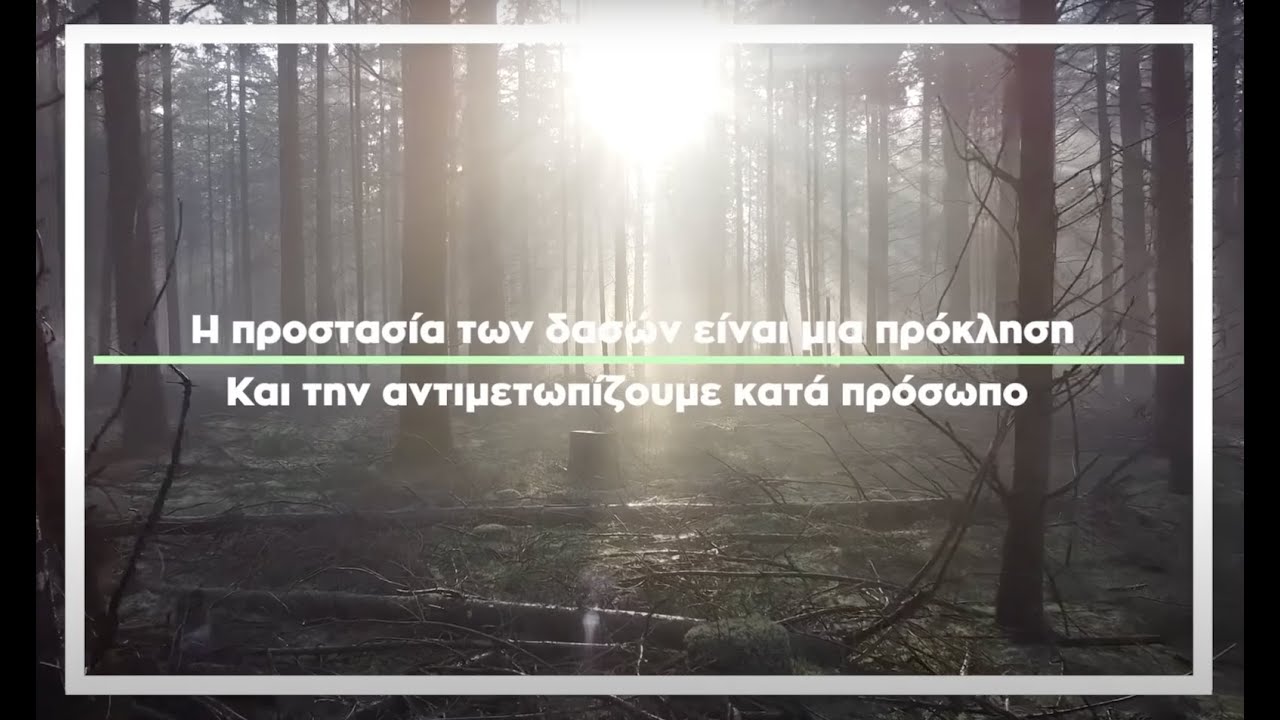 Ημερίδα για τα Δασικά Οικοσυστήματα στην Πάτρα - YouTube