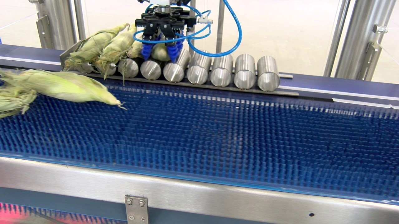 ProEx Food Robotic Orienter - YouTube