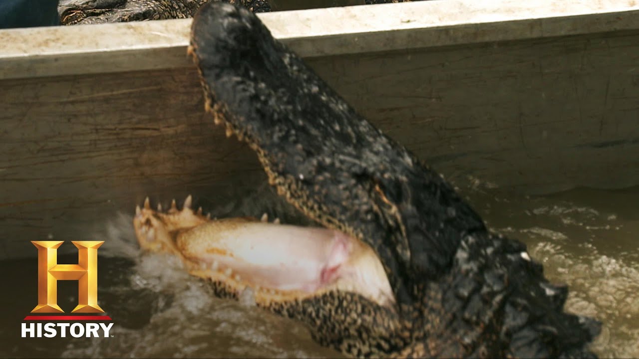 Swamp People: Troy's TERRIFYING Trip to the Boneyard (Season 8 ...