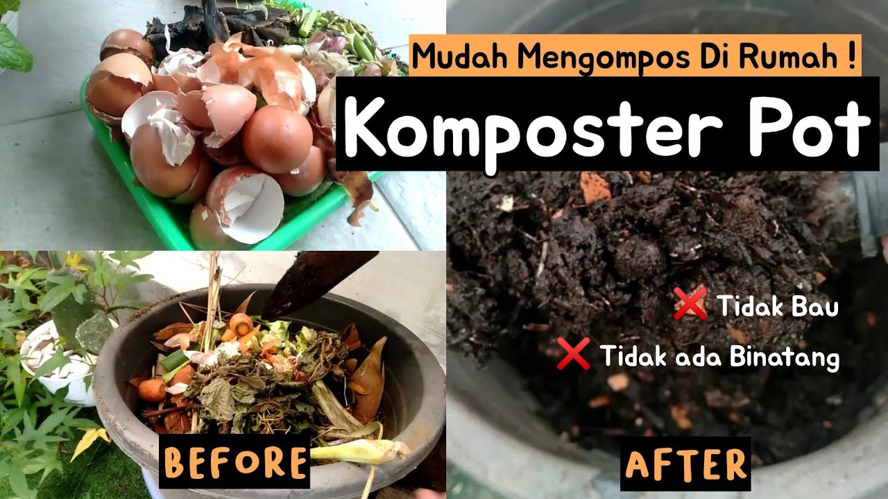 Cara Mudah Membuat Kompos dari Sampah Organik dengan Komposter Pot ...