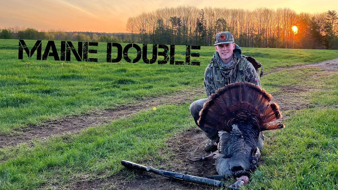 Banded Turkey Hits the Dirt In Maine | Maine Turkey Hunting '23 - YouTube