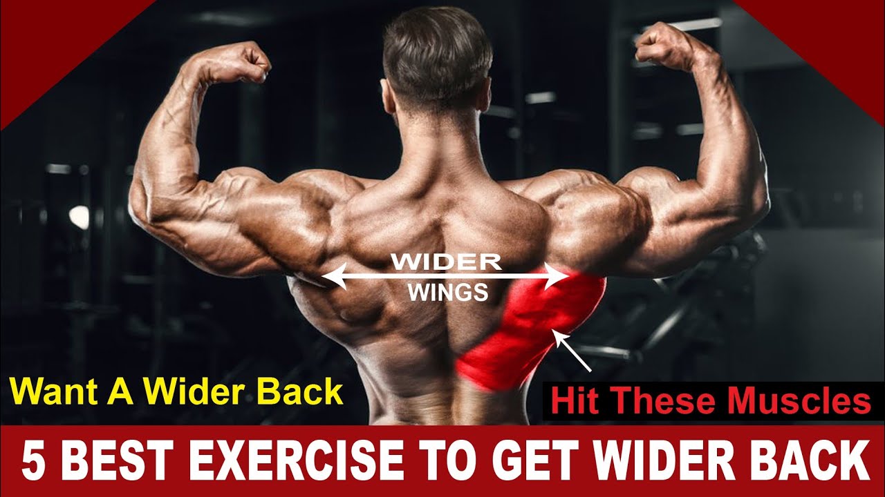 5 BEST EXERCISES TO BUILD BIGGER WINGS/LATS AT GYM - YouTube