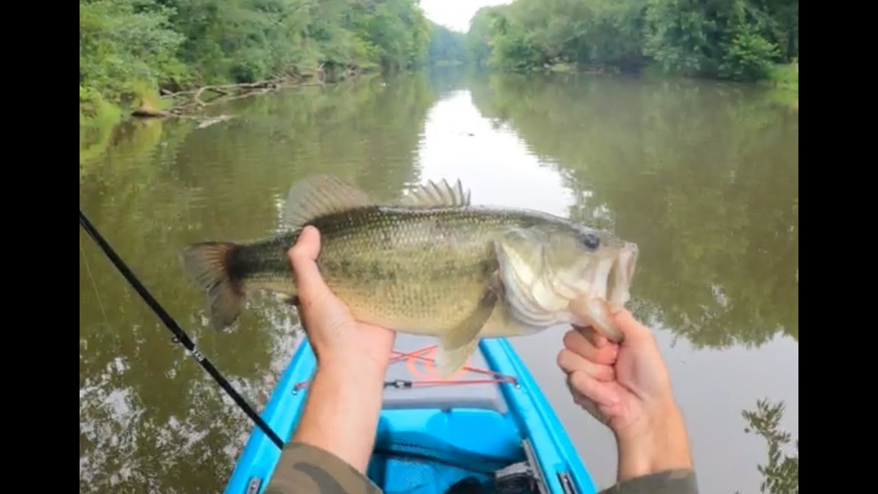 Shenango River Kayak Bass Fishing - YouTube