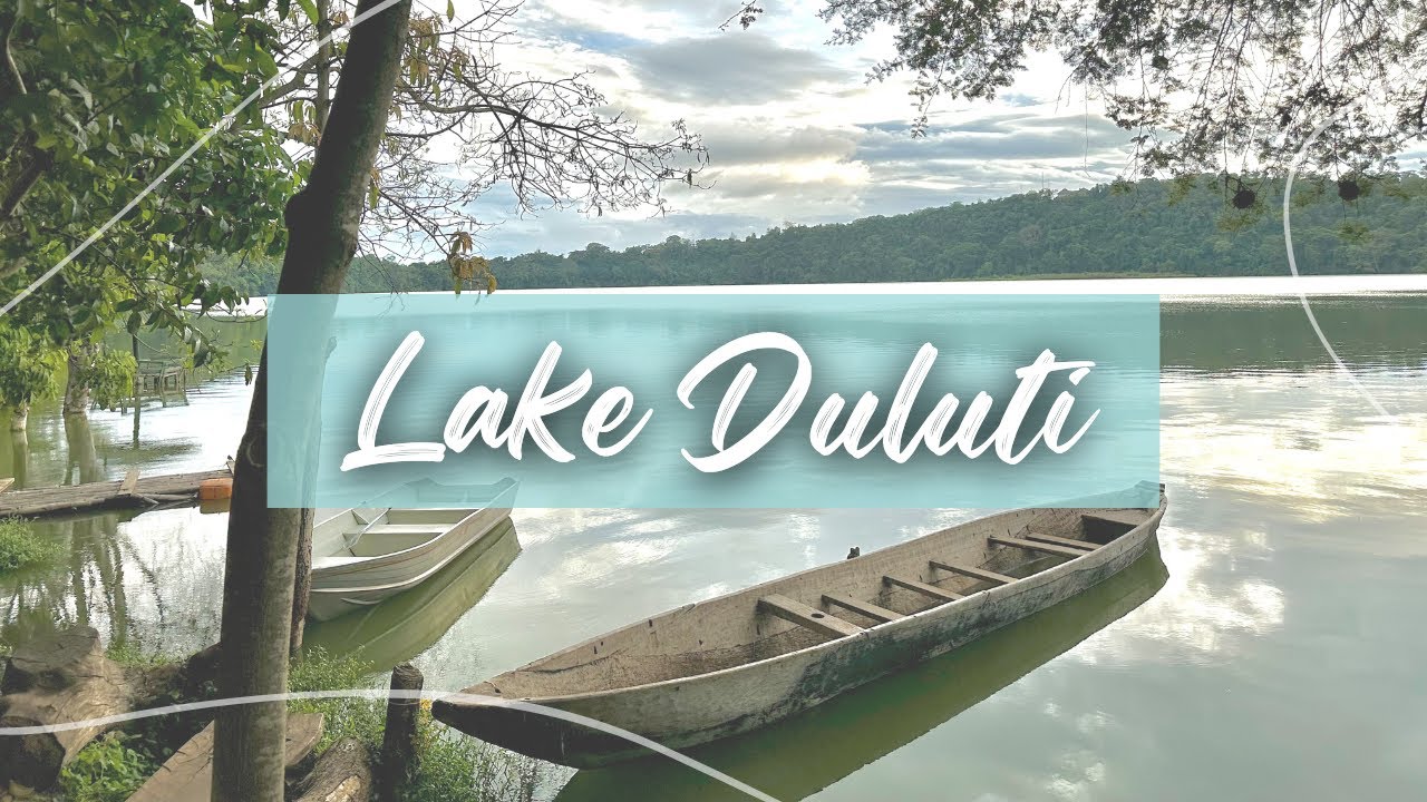 Things to Do in Arusha: See Wildlife at Lake Duluti! | Tanzania Travel ...