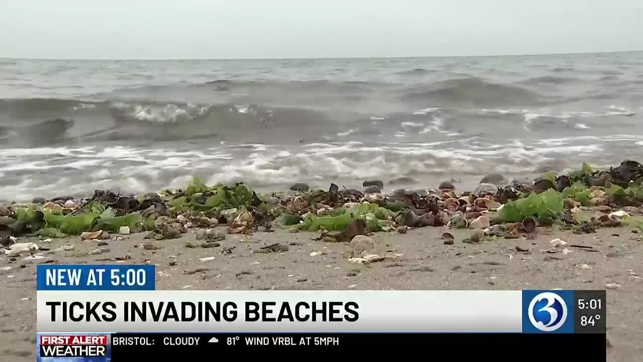 Bridgeport beach closed this summer due to invasive tick species ...