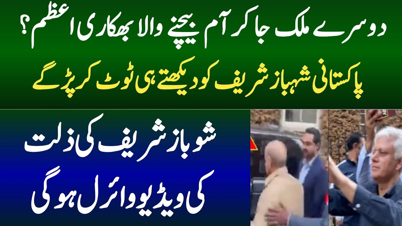 shabaiz sharif visit London || overseas Pakistani || London overseas ...