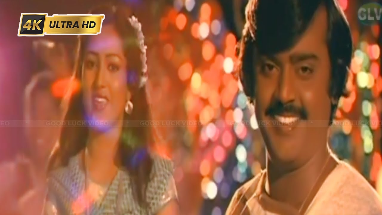 நீலகிரி பூவே நெஞ்சிலுள்ள தேனே பாடல் | Nelagiri Poove song | S. N ...