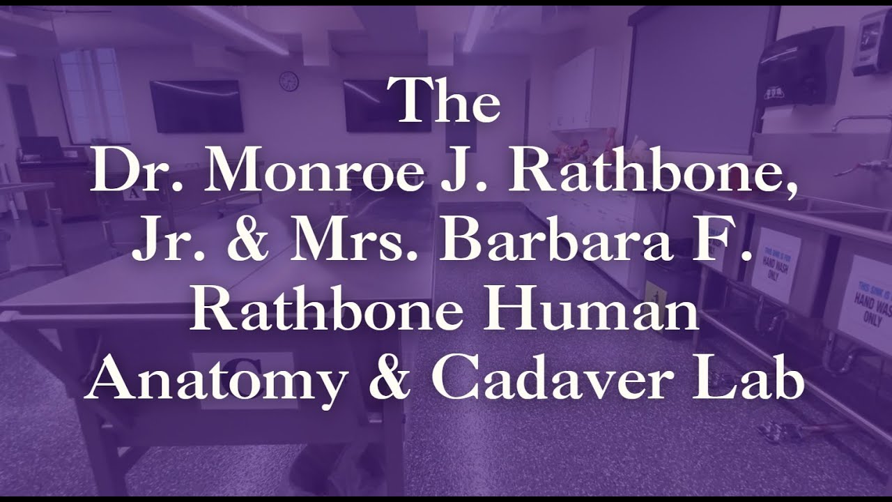 The Dr. Monroe J. Rathbone, Jr. & Mrs. Barbara F. Rathbone Human ...