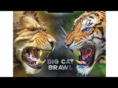 Peleng vs aslan.#Versus2#