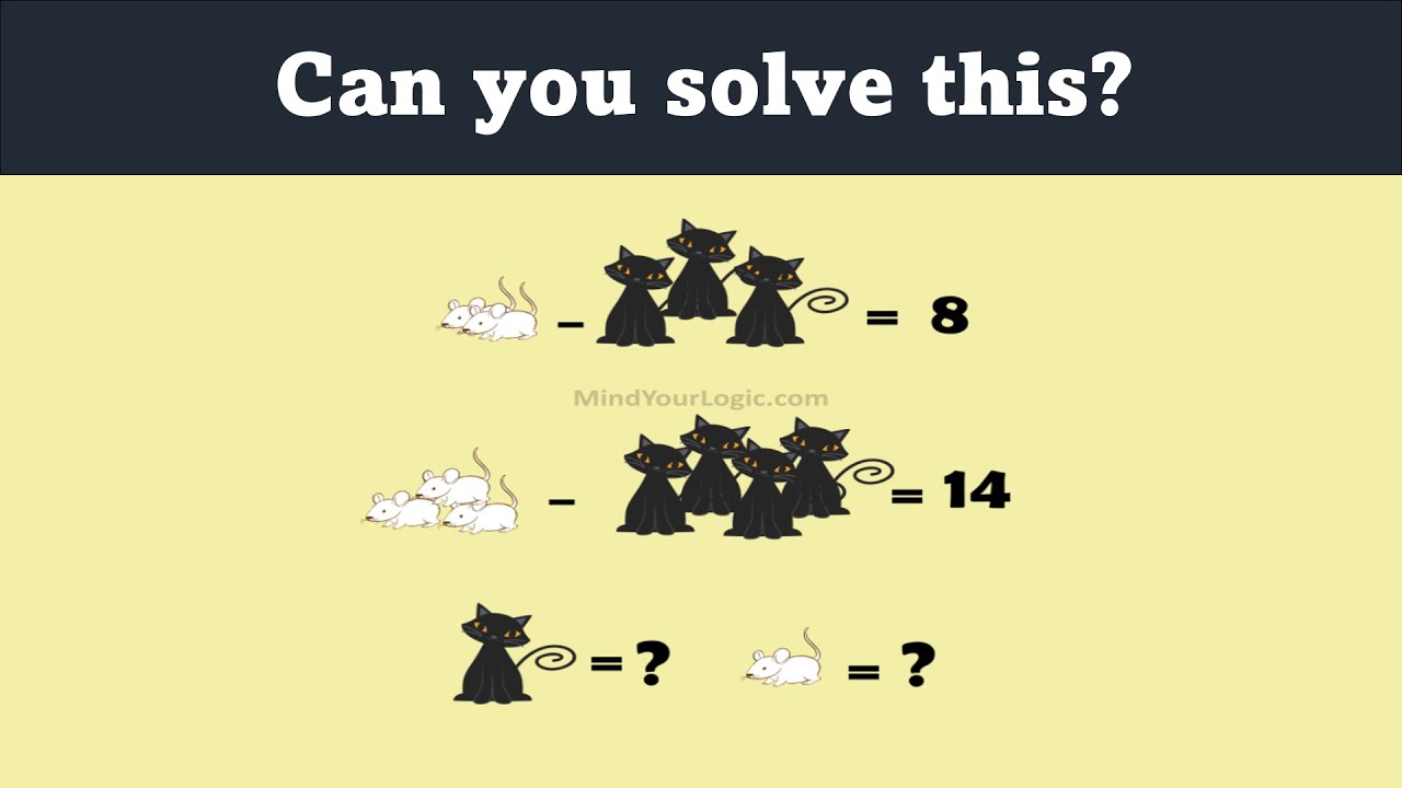 Rat and Cat math equation puzzle – Math puzzles brain teasers - YouTube