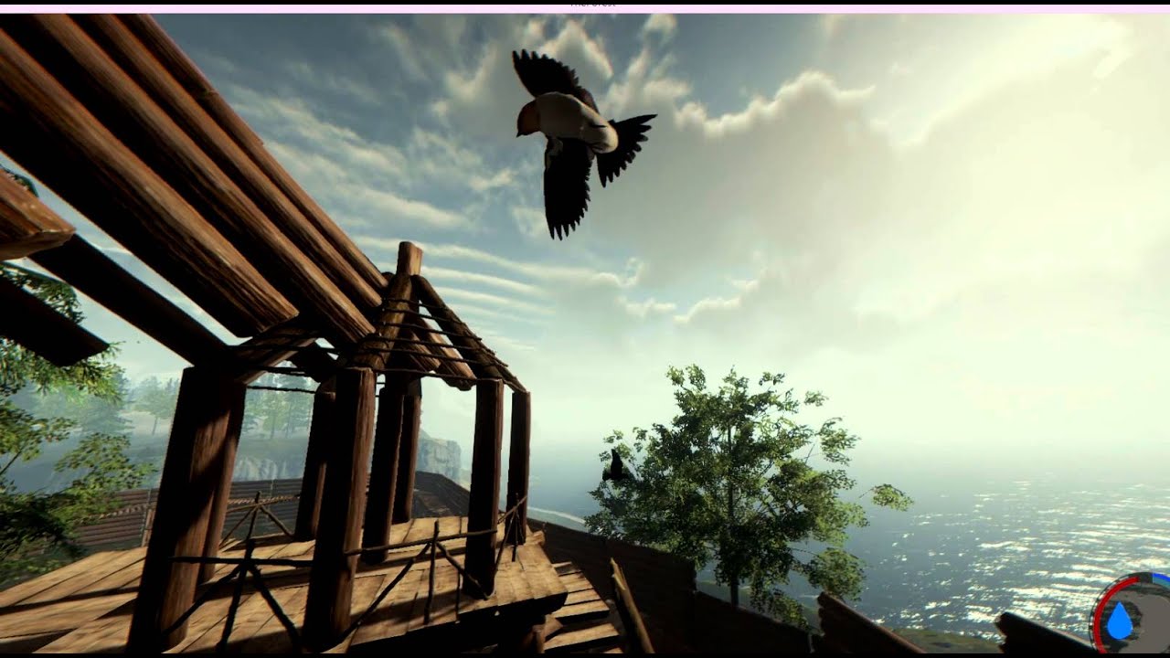 The Forest v0 35d Spinning Birds - YouTube