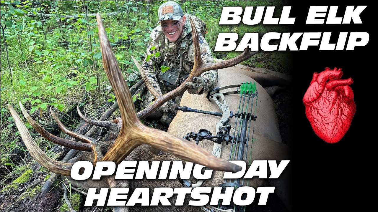 Bull Elk Backflip from a Heart Shot on Opening Day- Backcountry hunting ...