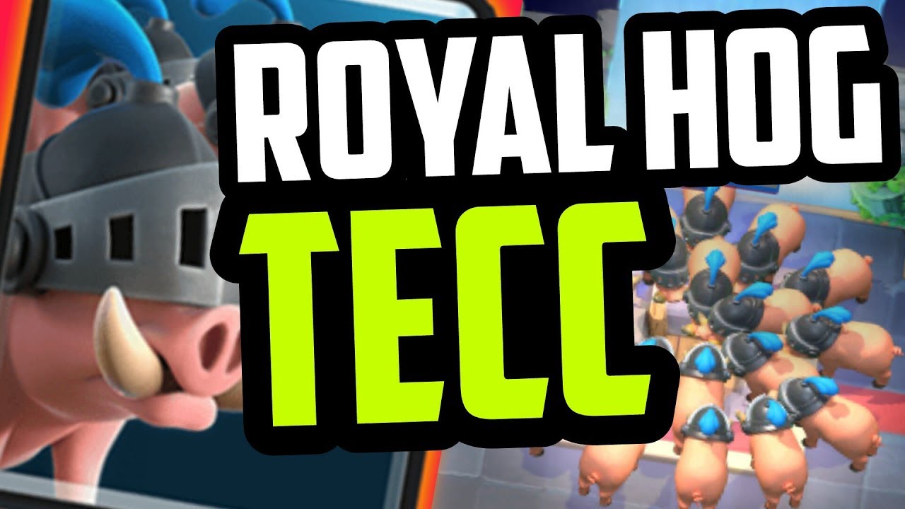 How To Use: Royal Hogs // Clash Royale NEW CARD - YouTube