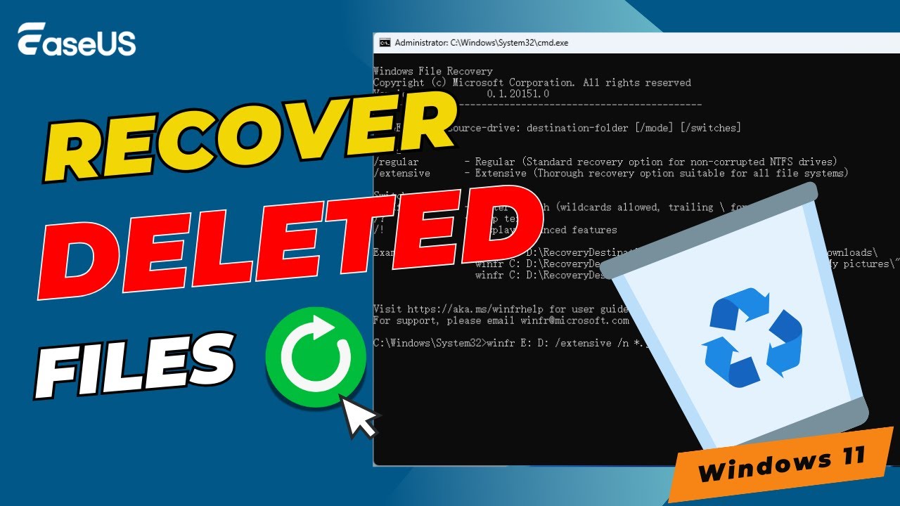 How to Recover Deleted Files on Windows 11 - 4 Ways in 2025 - YouTube