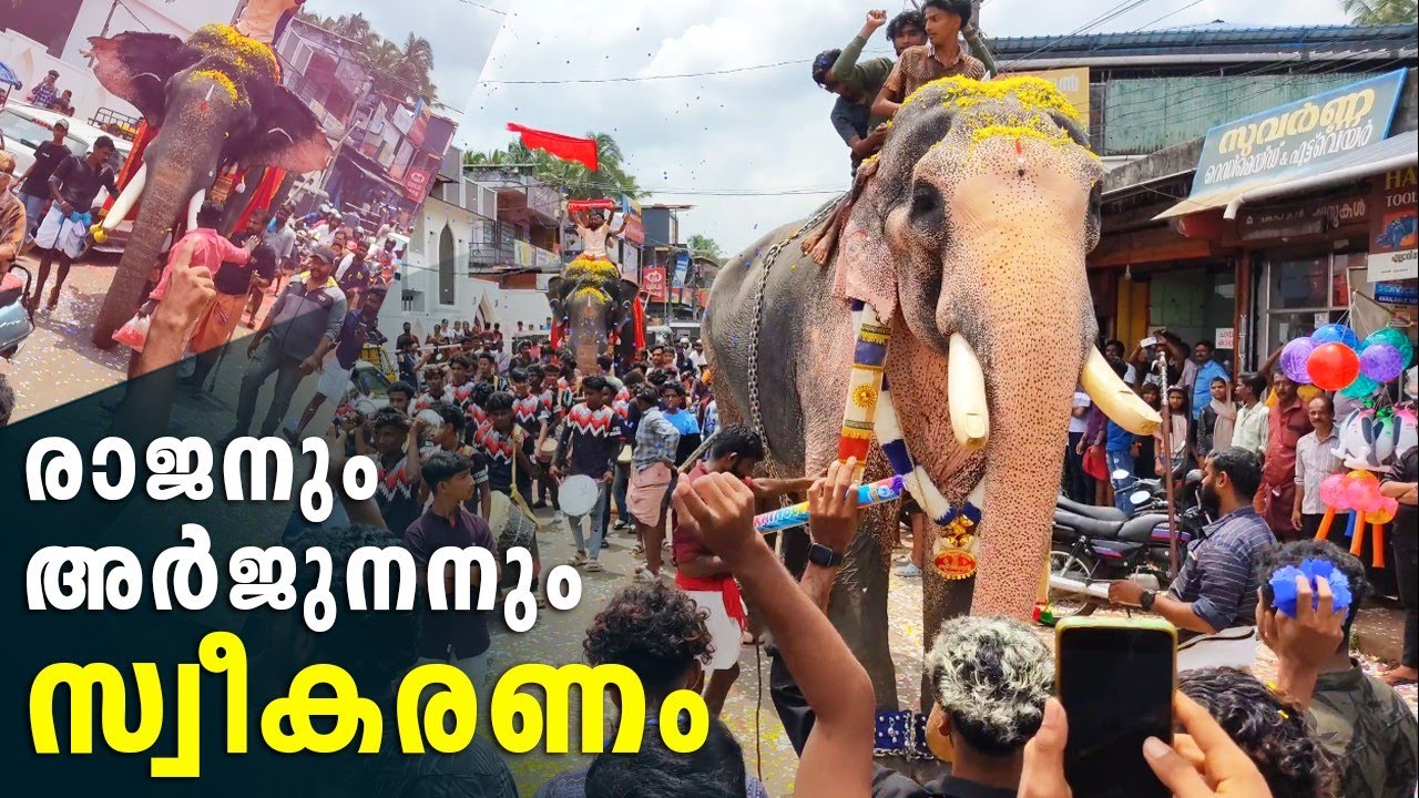 രാജനും അർജുനനും ഒരു കിടിലം എൻട്രി 🥰 | Kuttankulangara Arjunan & Pambadi ...