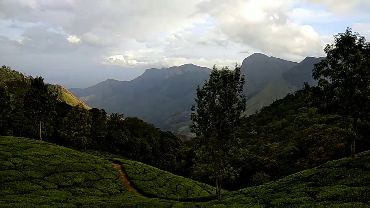 Beautiful munnar |kerala - YouTube