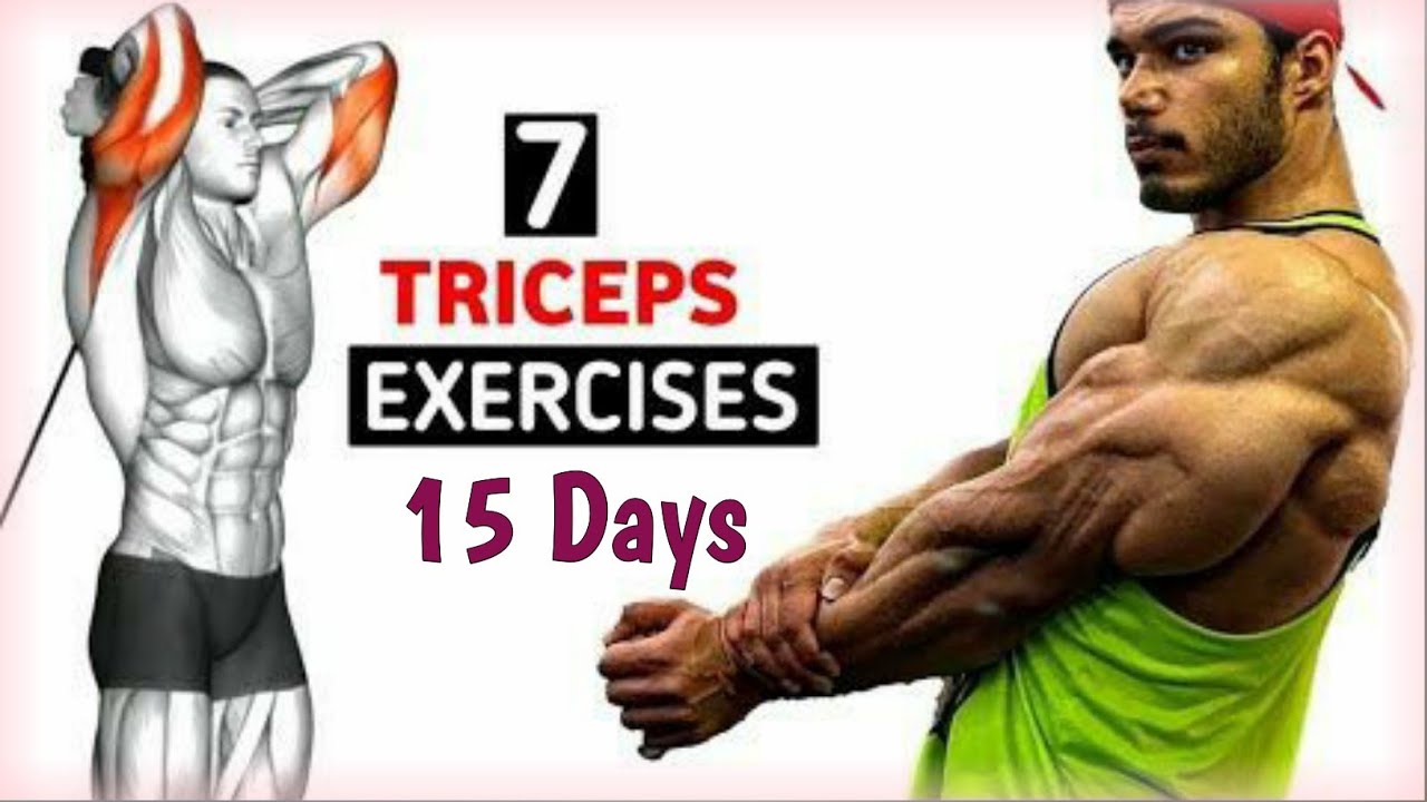 Triceps exercises | best exercises for triceps | different tricep ...