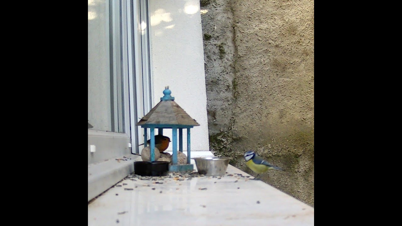 quand il a faim - YouTube