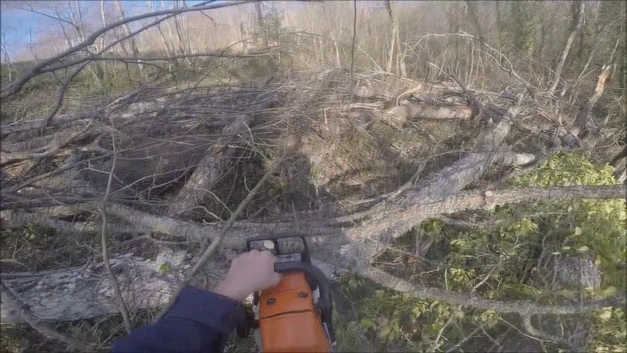 STIHL MS 361 - YouTube