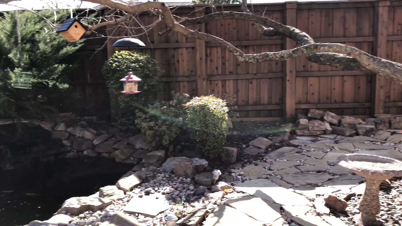 iPhone X test video 4K 24 fps using Camera App - YouTube