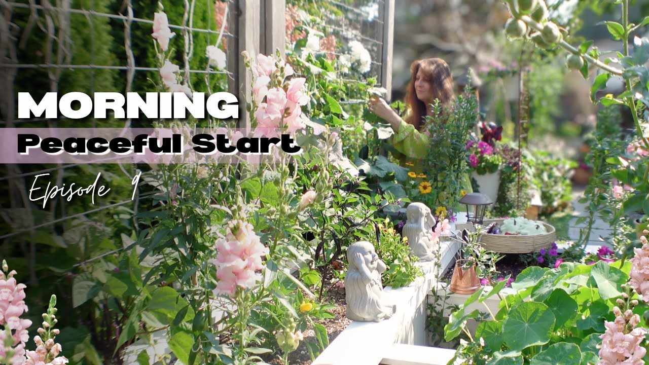 DAILY GARDENING - Morning Garden Routine That Changed My State Of Mind ...