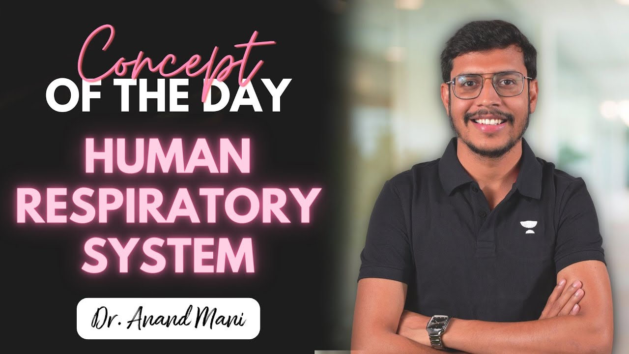 Complete Human Respiratory System | Concept of the Day | NEET 2024 | Dr ...