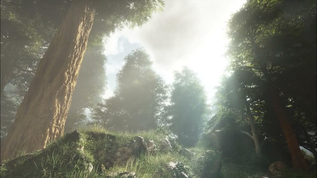ARK: Survival Ascended | Redwood Forest | MAX Graphics Showcase ...