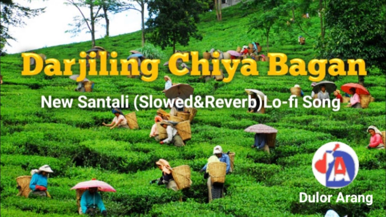 Darjiling Chiya Bagan New Santali (Slowed&Reverb) Lo-fi Song - YouTube