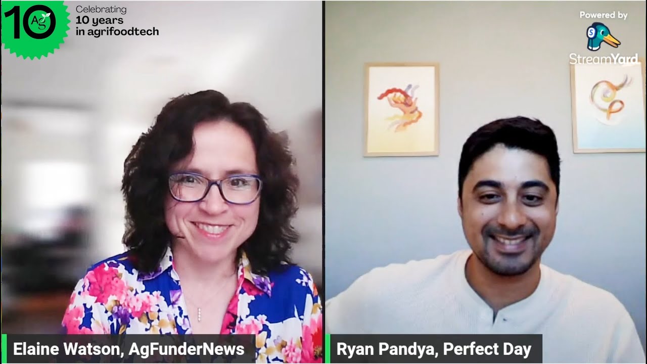 Perfect Day CEO: We're trying to build a company that could exist as a ...