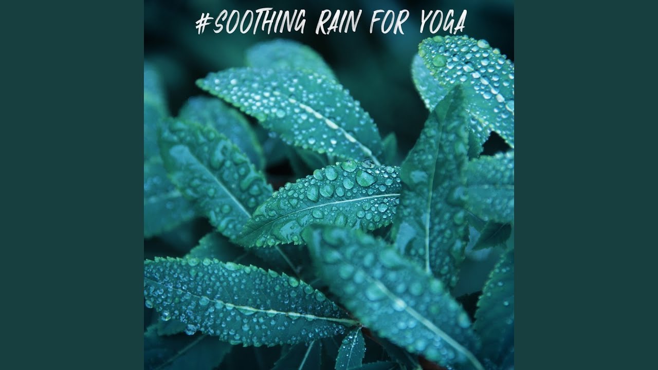 Chilling Rain in the Jungle - YouTube