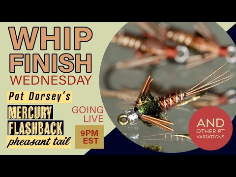 How To Fly Tying: Pat Dorsey's Mercury Flashback Pheasant Tail--Live on ...