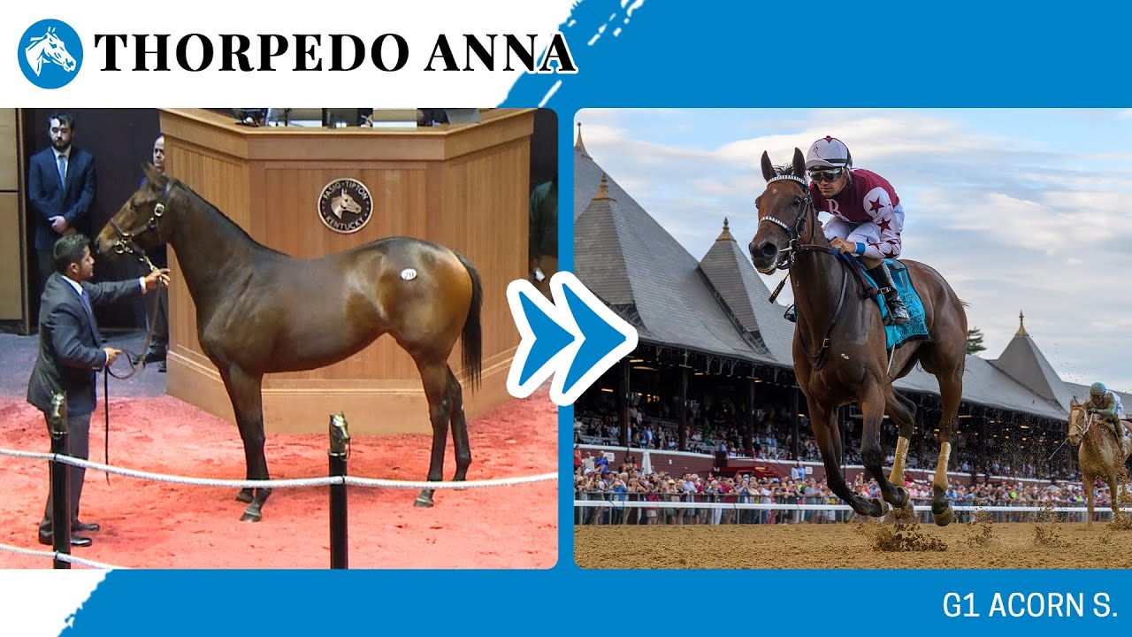 2024 G1 Acorn S. winner THORPEDO ANNA at Kentucky October Yearlings ...