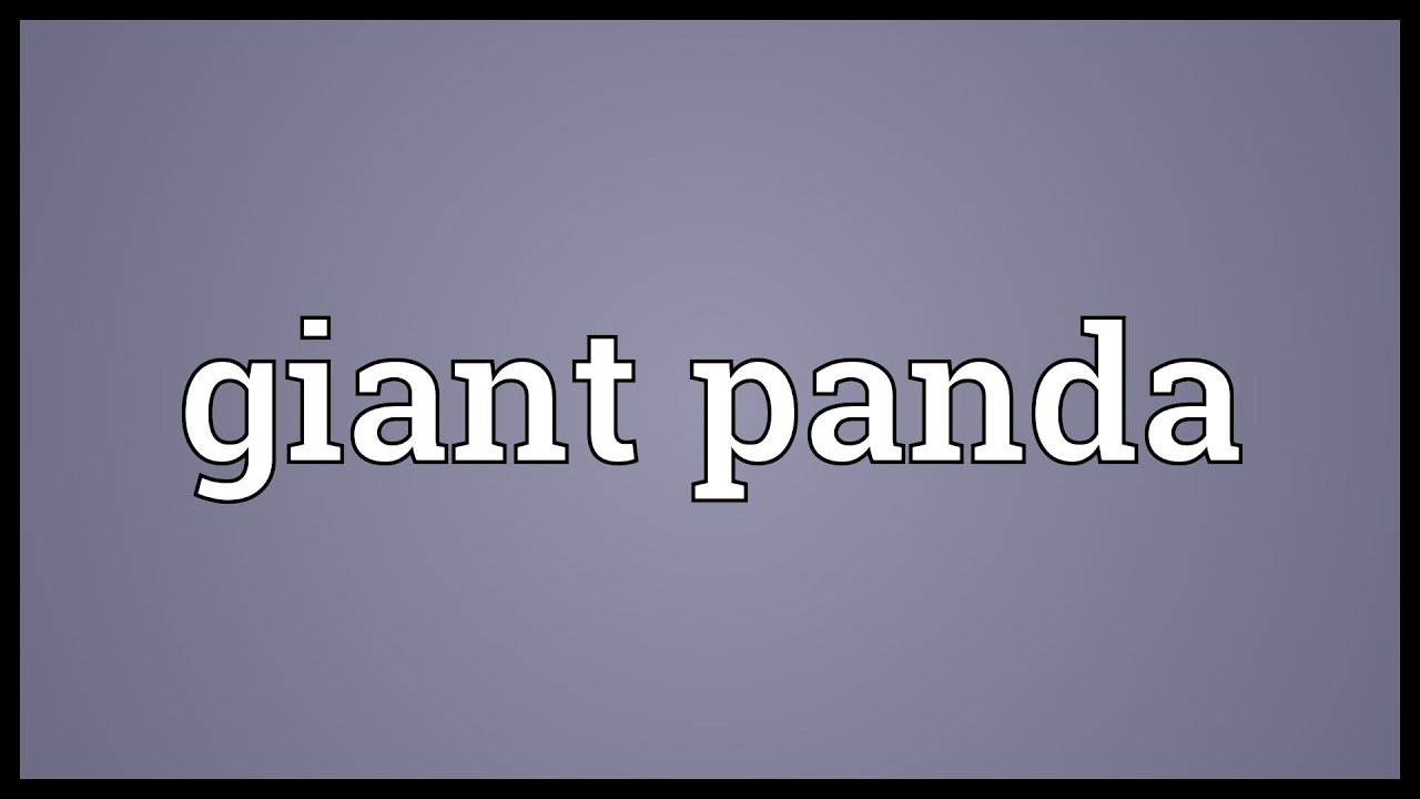 Giant Panda Meaning YouTube giant-panda-meaning-youtube