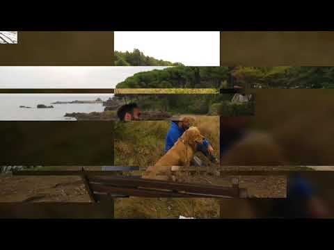 Güzel dostum odi💓