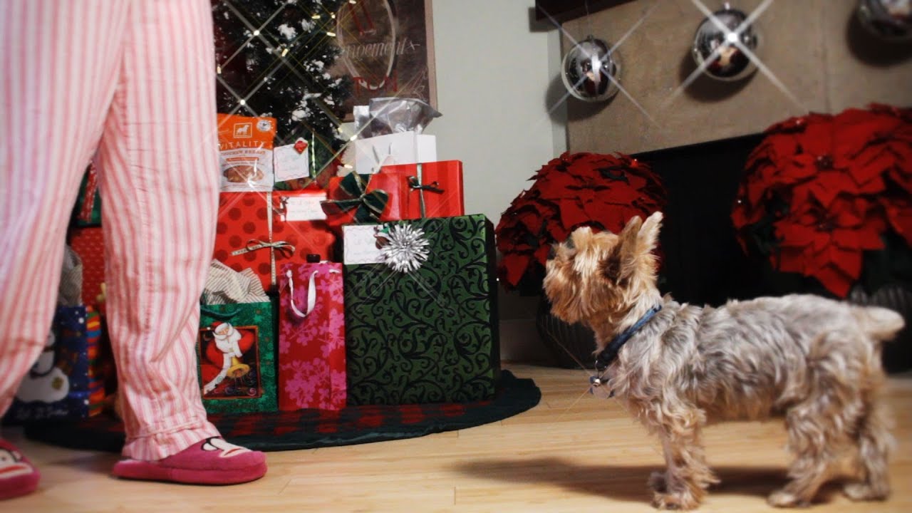 Christmas Snark Ecard