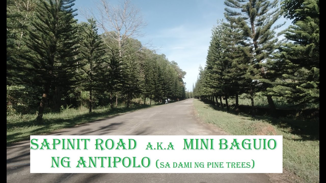Sapinit road Mini Baguio ng Antipolo - YouTube