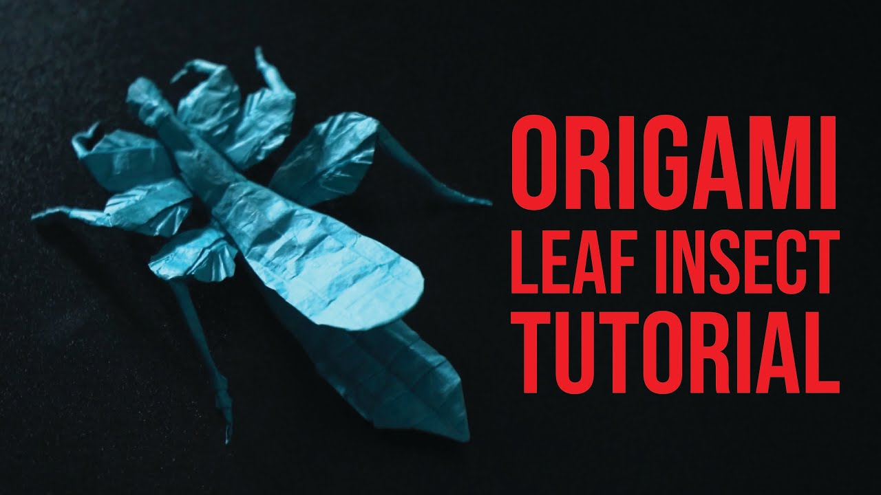 How to Fold my Leaf Insect Origami (Part 3 of 7) - YouTube