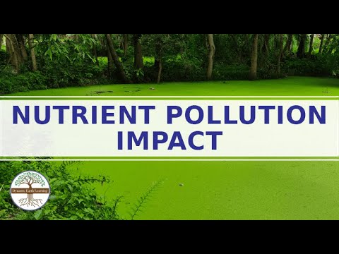 Where Is Nutrient Pollution Happening