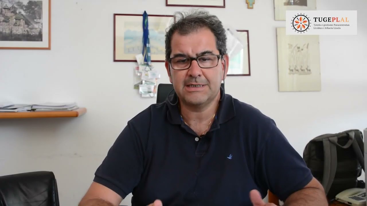 Le forme del riccio Francesco Bozzo - YouTube