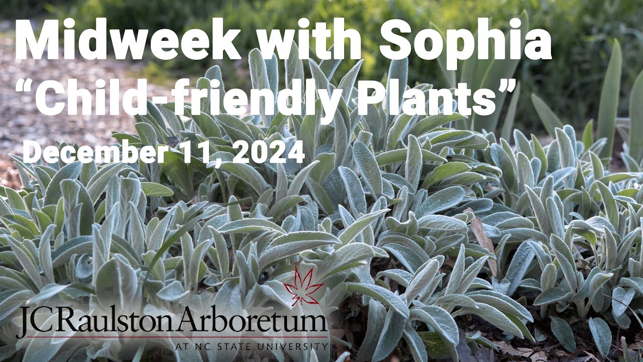 Midweek with Sophia - "Child-friendly Plants" - YouTube